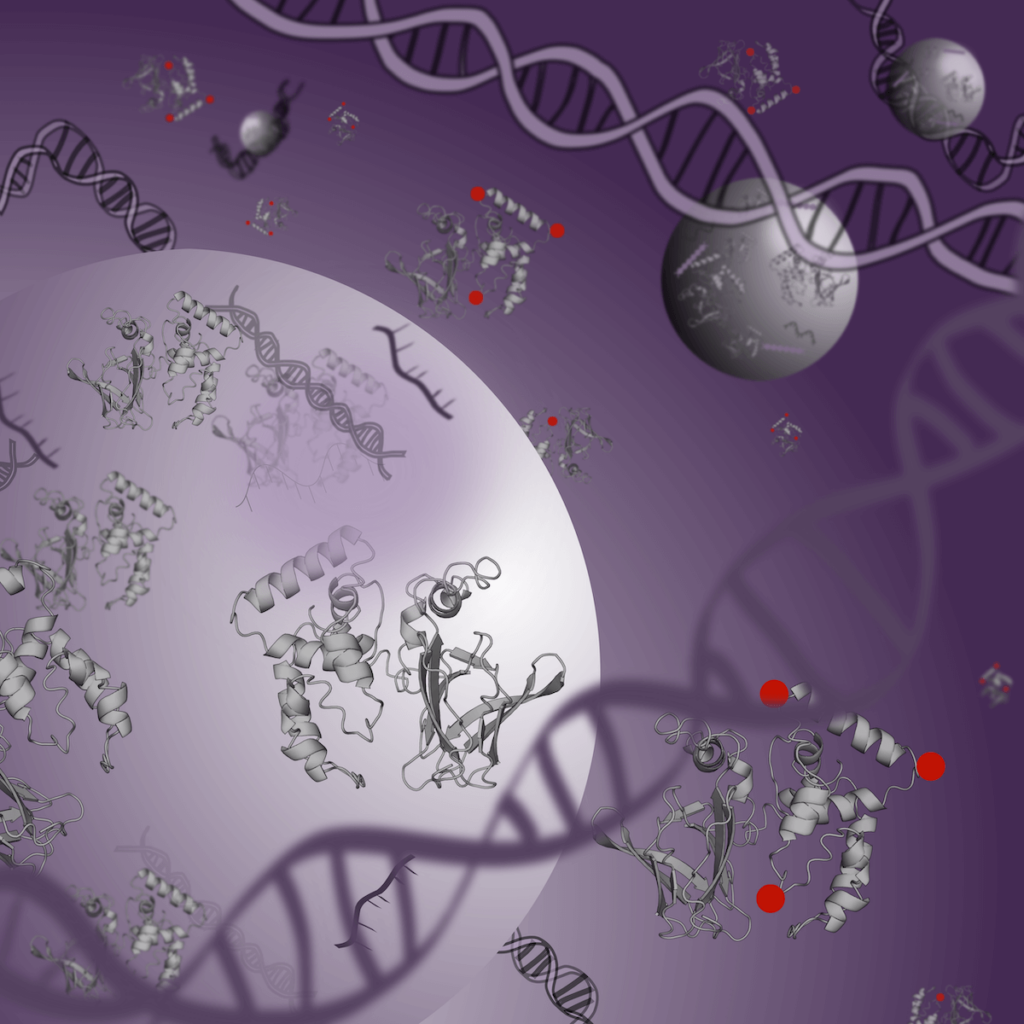 The Paul G. Allen Frontiers Group Announces 16 New Allen Distinguished ...