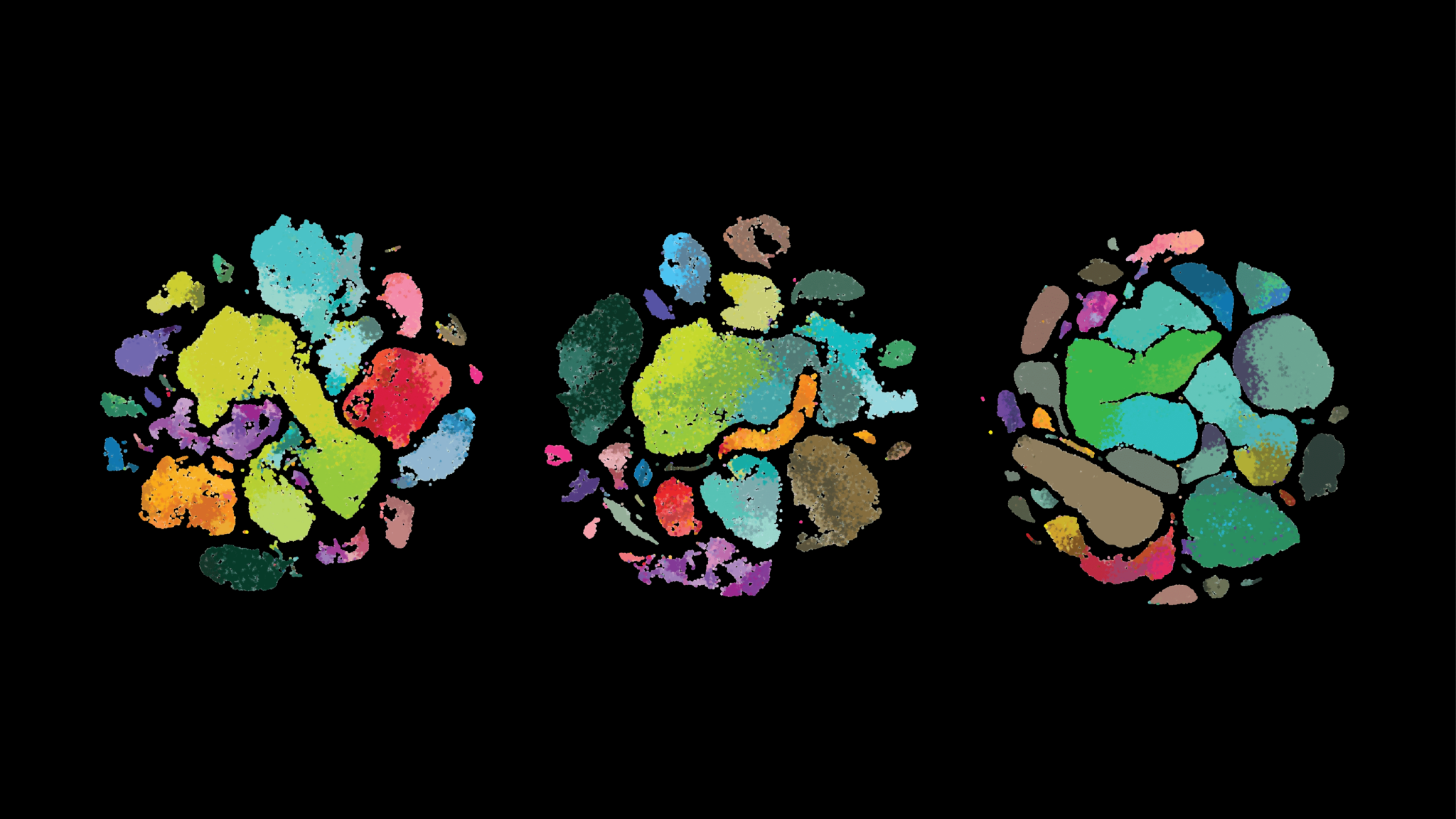 An ultra detailed map of the brain region that controls movement, from ...