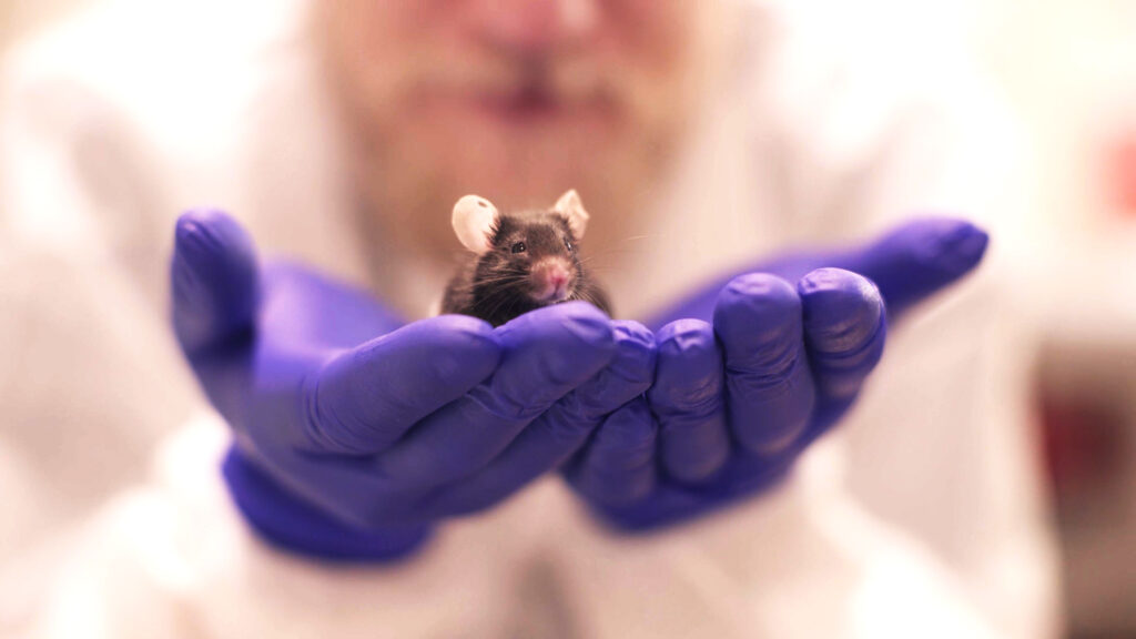 Scientists find mouse neurons that are unique to male or female brains ...