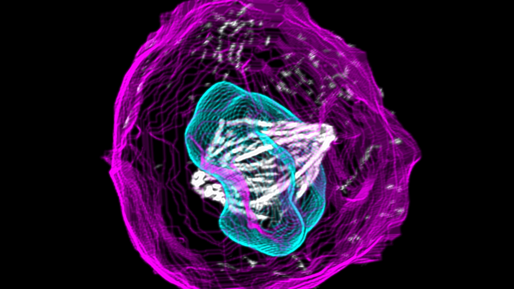 Allen Cell Explorer launched - Allen Institute