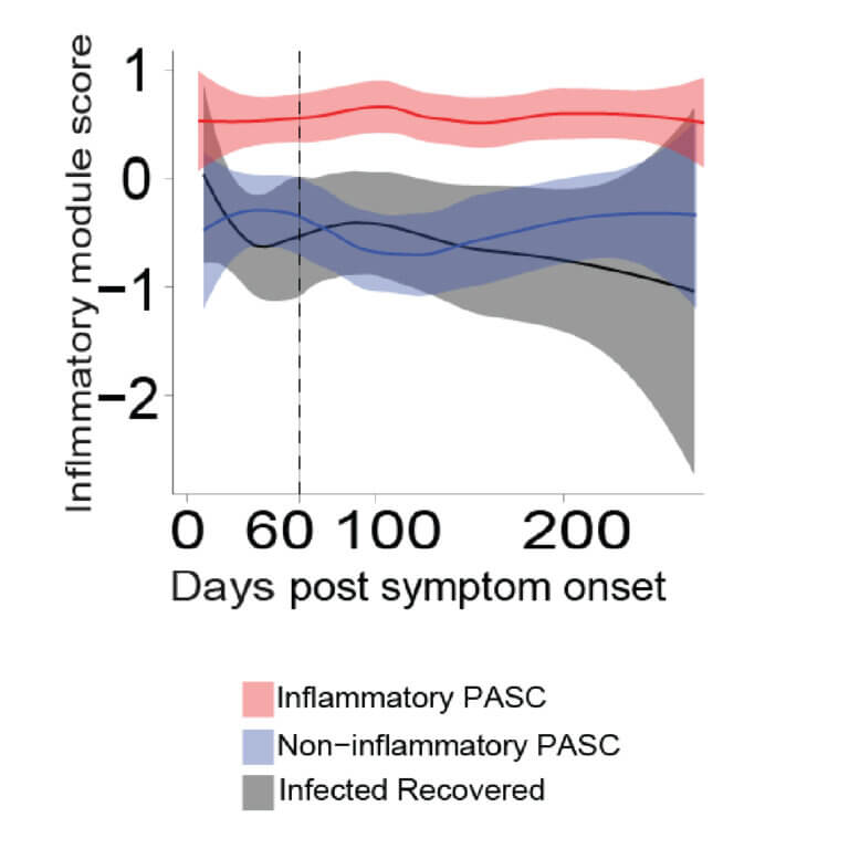 Many long COVID patients suffer from persistent inflammation, study ...