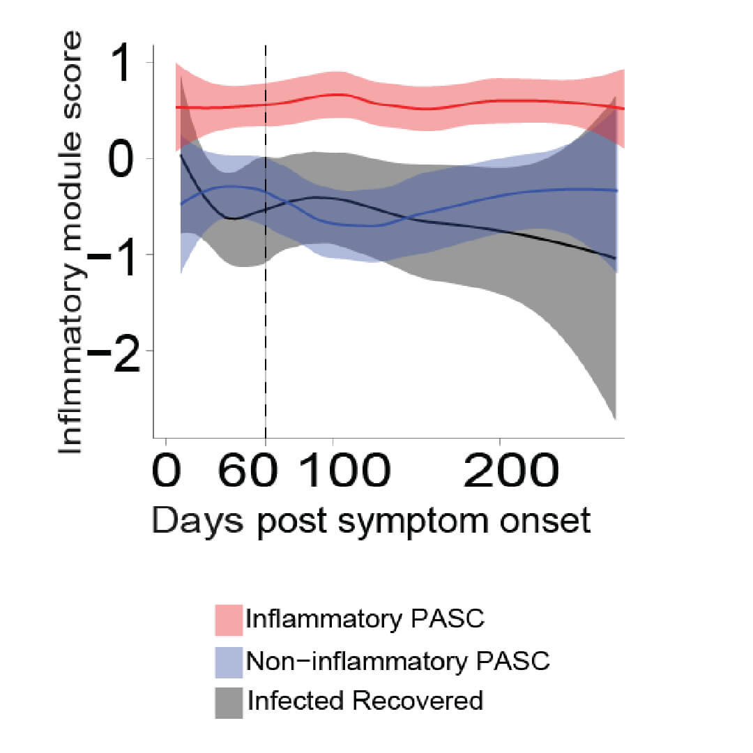 Many long COVID patients suffer from persistent inflammation, study ... Many long COVID patients suffer from persistent inflammation, study ...