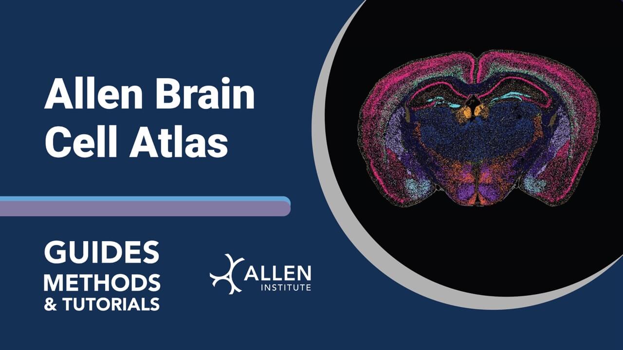 Allen Brain Cell (ABC) Atlas | Tutorial - Allen Institute