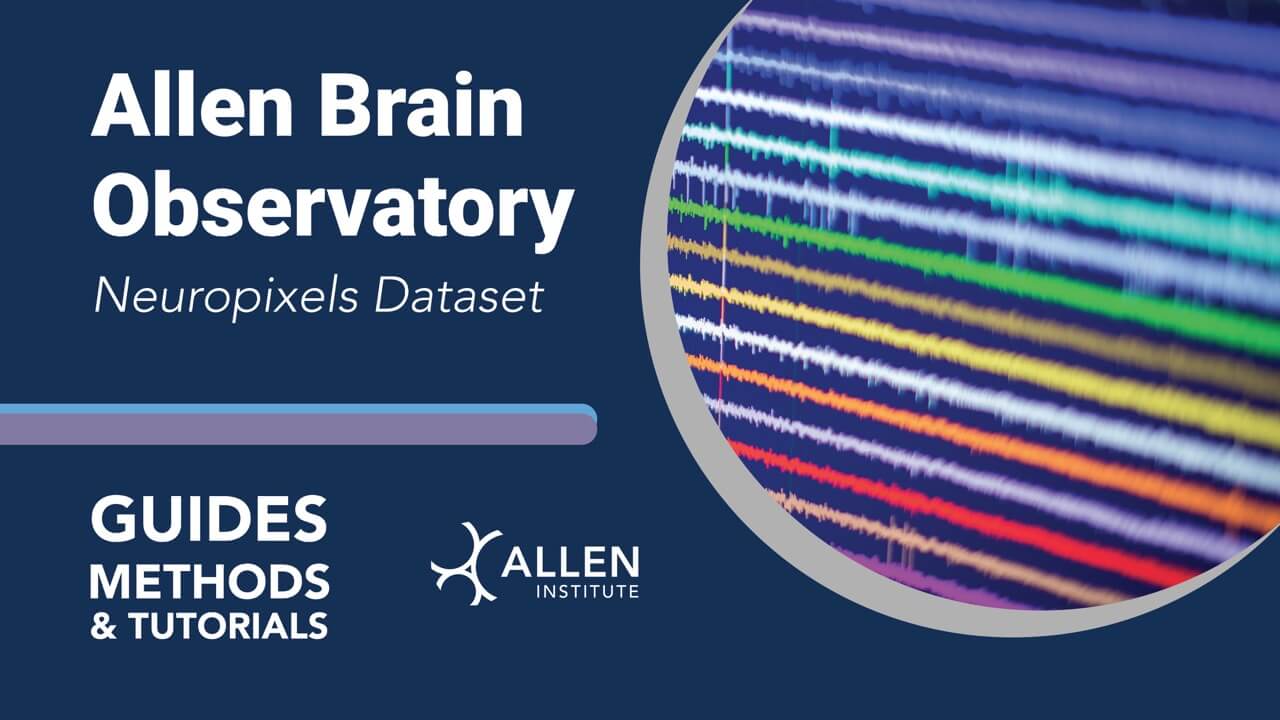 Allen Brain Observatory: Neuropixels Dataset | Tutorial - Allen Institute