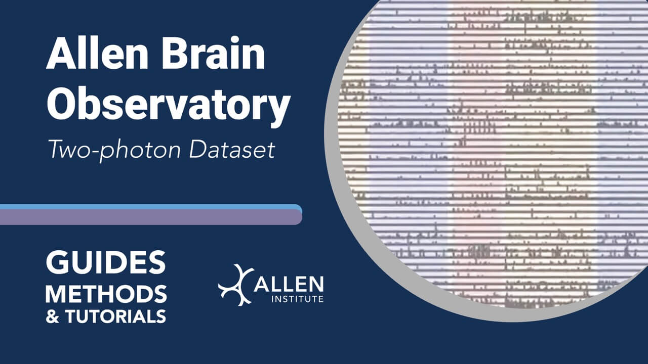 Allen Brain Observatory: Two-Photon Dataset | Tutorial - Allen Institute