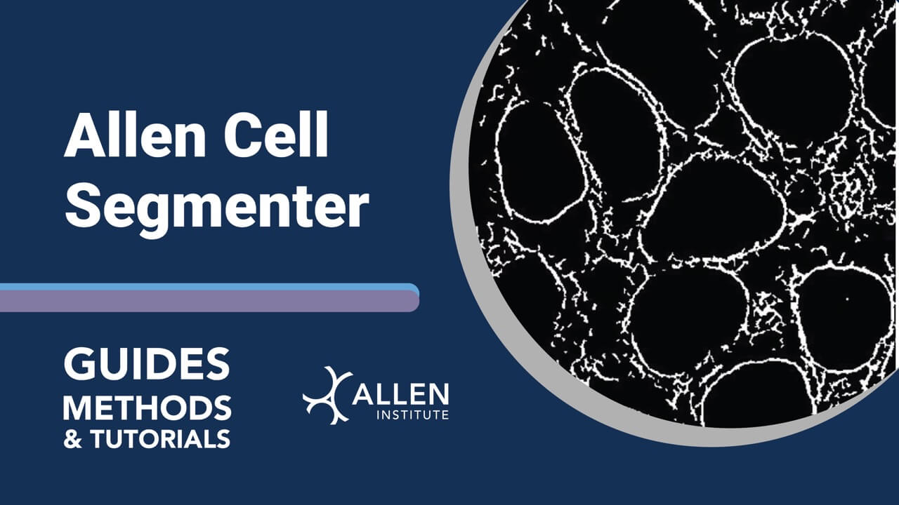 Allen Cell Segmenter | Tutorial - Allen Institute