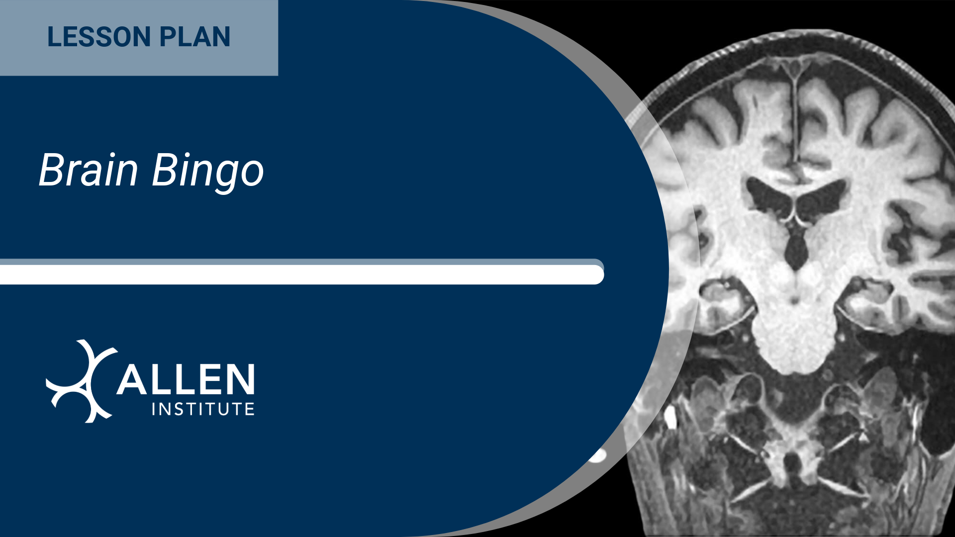 Brain Bingo - Allen Institute