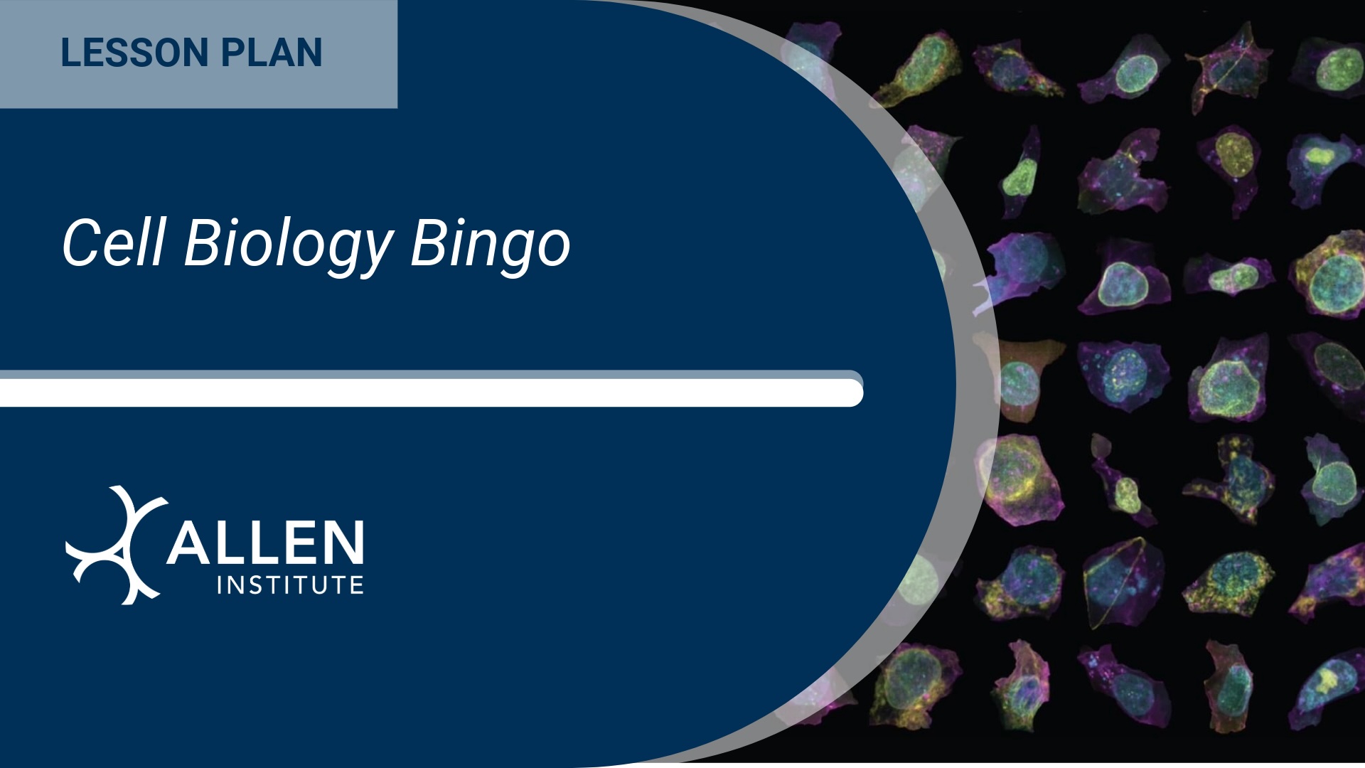 Cell Biology Bingo - Allen Institute