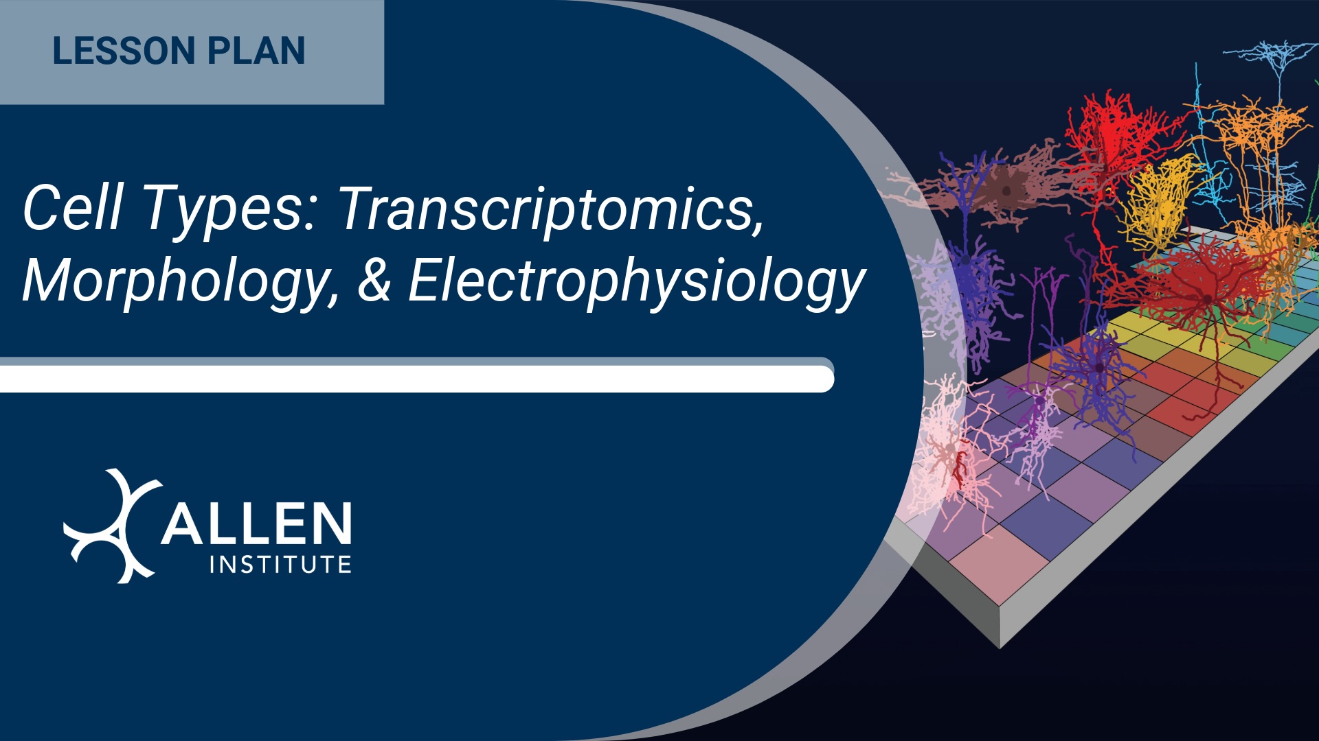 Cell Types - Transcriptomics, Morphology, & Electrophysiology - Allen ...