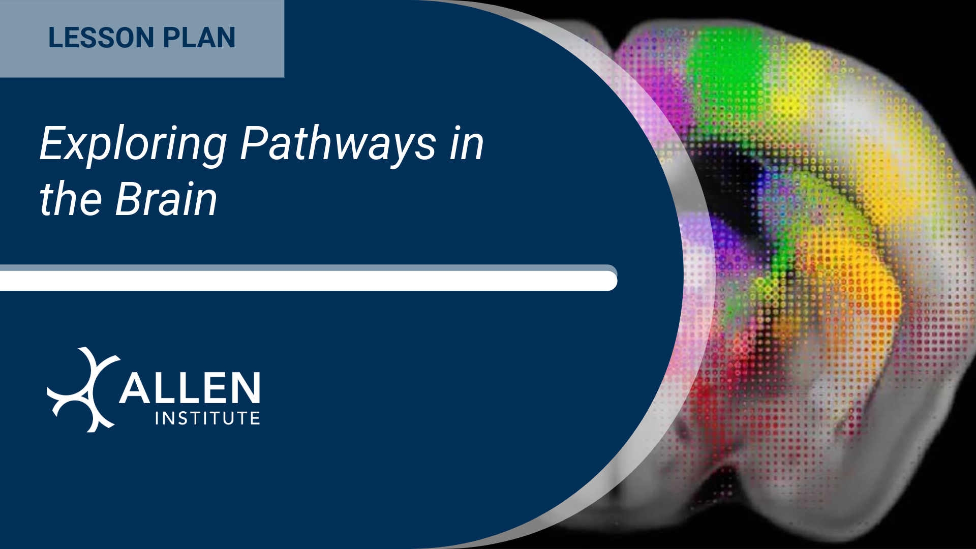 Exploring Pathways in the Brain - Allen Institute