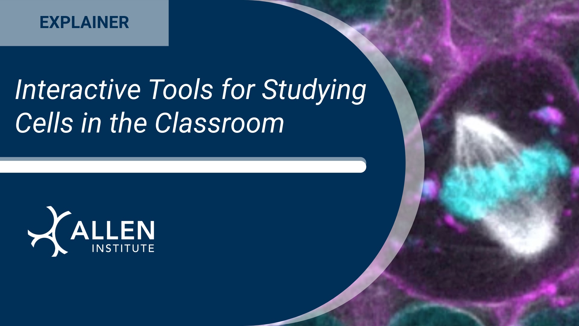 Interactive Tools for Studying Cells in the Classroom - Allen Institute