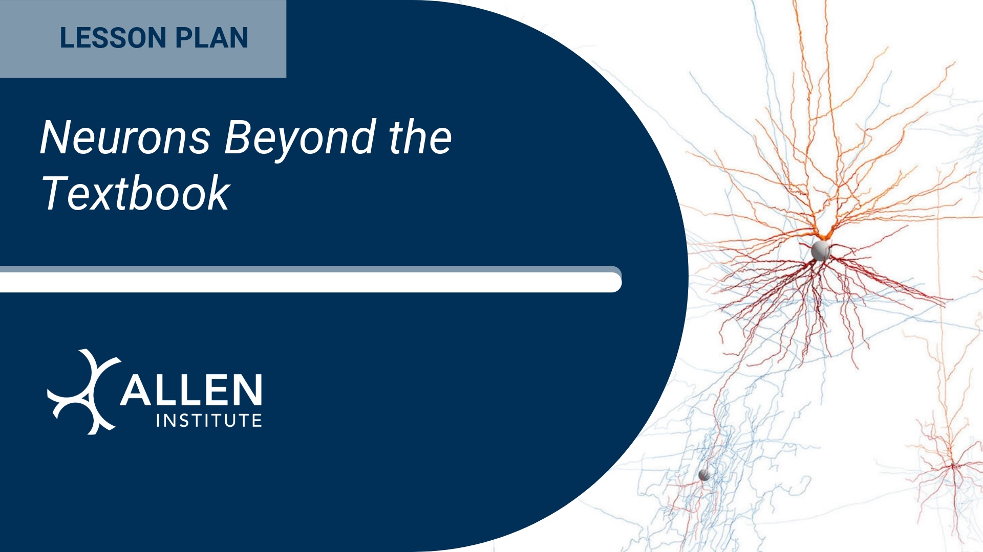 Neurons Beyond the Textbook - Allen Institute