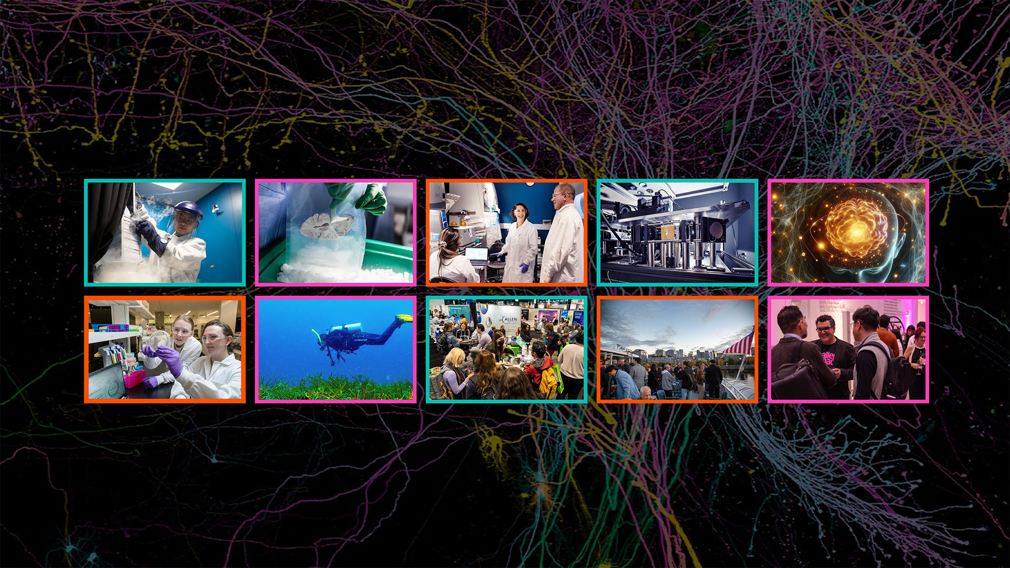 2024 Impact Report - Allen Institute