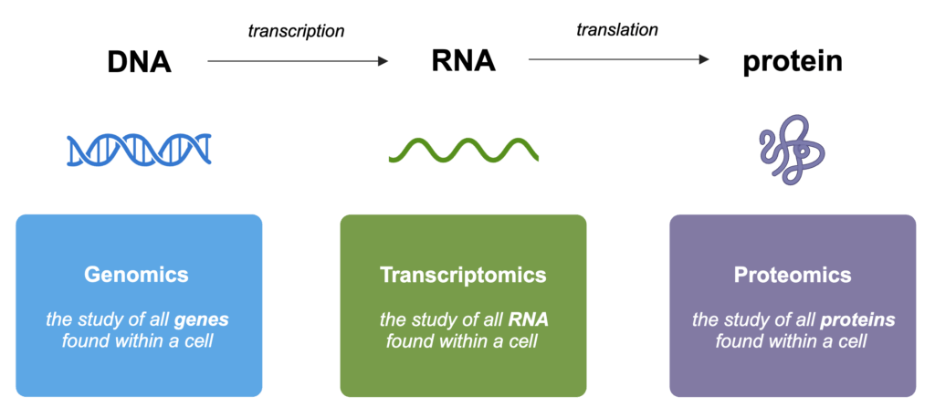 What is Omics? - Allen Institute