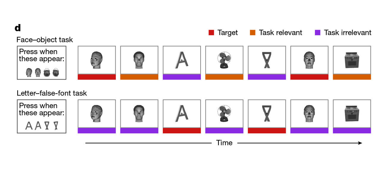 Landmark experiment sheds new light on the origins of consciousness ...