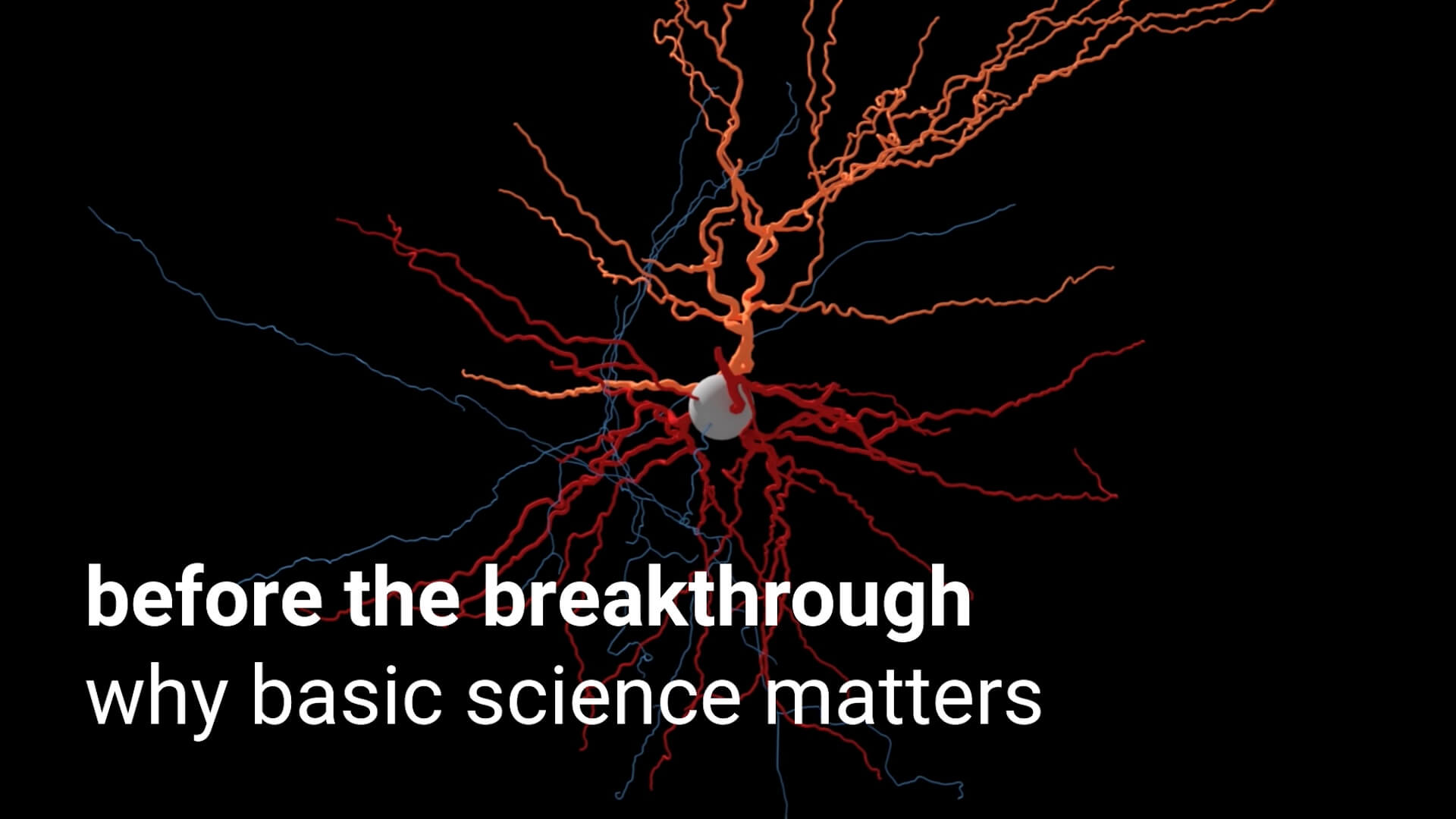 Before the breakthrough: Why basic science matters - Allen Institute