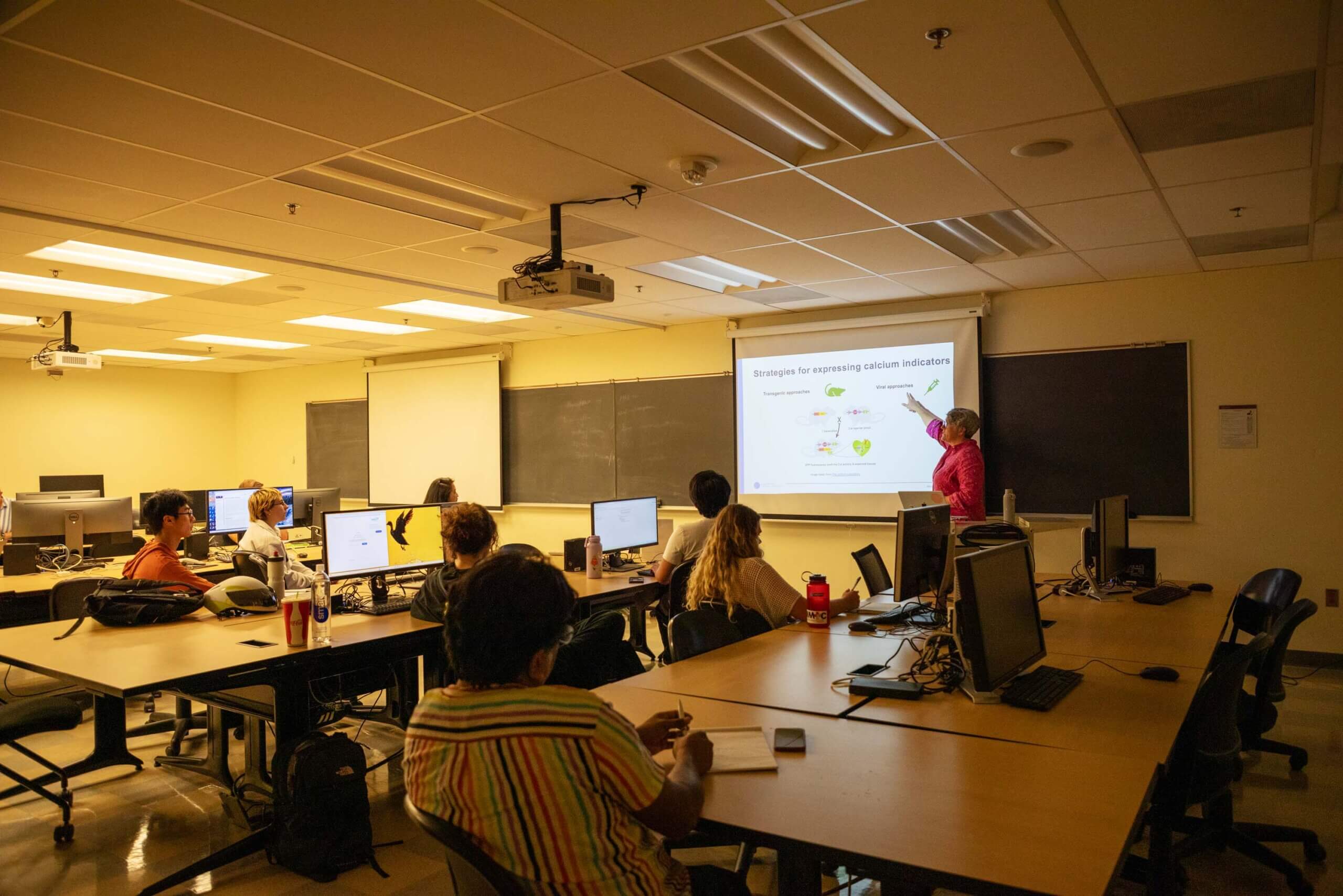 Scientists identify a new kind of human brain cell - Allen Institute